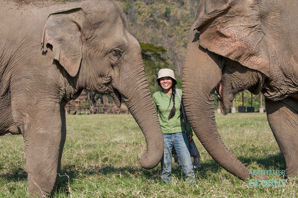 Thailands Elefantenretterin Sangduen Lek Chailert im Elephant Nature ...
