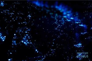 Koh Rong: Aktuelle Tipps für die Urlaubsinsel [+ Karte] – Abenteuerglobus